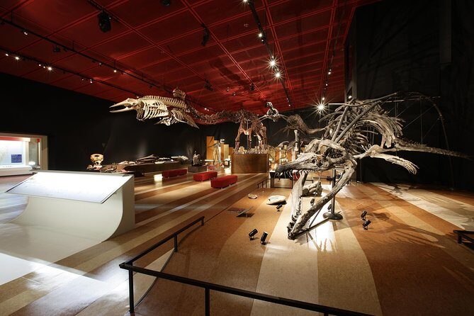 Coal & Fossil Museum Admission Ticket - Authentic Insights from Visitors