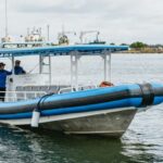 Coastal 2.5-hour Adventure Boat Tour from Newcastle - The Practical Side: Comfort, Cost, and Group Size