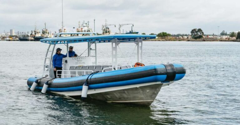 Coastal 2.5-hour Adventure Boat Tour from Newcastle - The Practical Side: Comfort, Cost, and Group Size