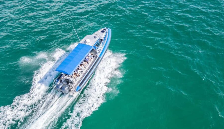 Coastal Boat Tour from Lake Macquarie - What Travelers Can Expect