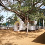 Coastal Ride to Galle from Negombo - The Practicalities and What They Mean for You