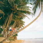 Coastal Ride to Galle from Panadura - Madu Ganga River Safari: The Eco-Highlight