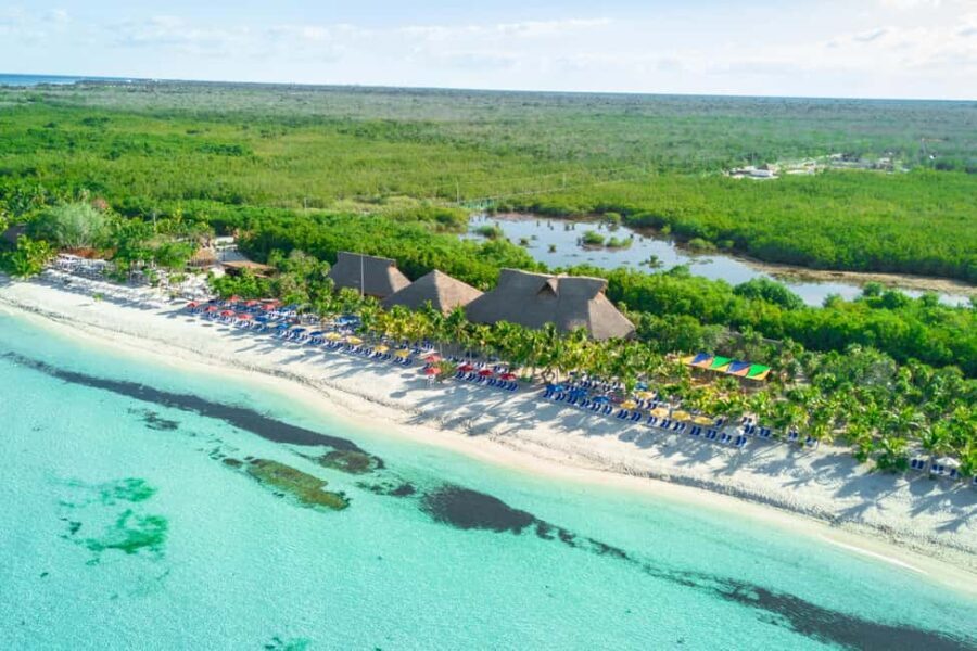 Coastal Thrill Day: Kayak, Paddle & Snorkel at Cozumel - What Past Travelers Say