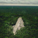 Coba: Adventure, Nature, and Mayan Heritage - Wildlife Encounters in the Jungle