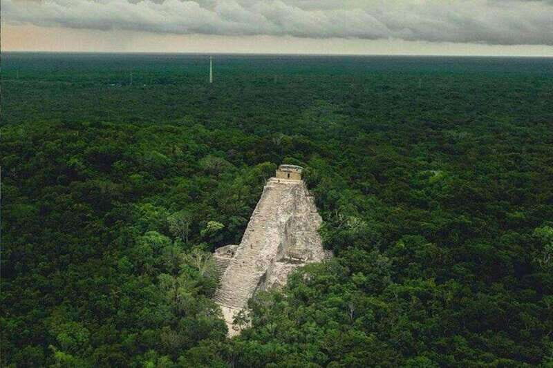 Coba: Adventure, Nature, and Mayan Heritage - Wildlife Encounters in the Jungle