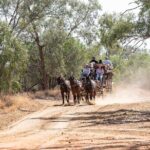 Cobb & Co Stagecoach Experience in Longreach - Considerations and Practicalities
