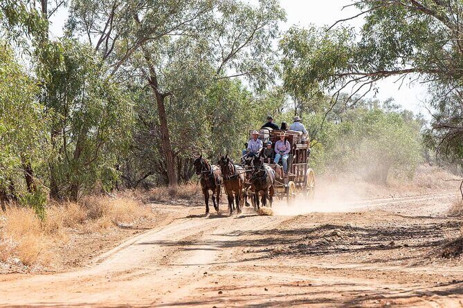Cobb & Co Stagecoach Experience in Longreach - Considerations and Practicalities
