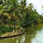 Cochin : Alleppey/Alappuzha Backwater Canoe (Shikara) Cruise - What to Expect During the Tour