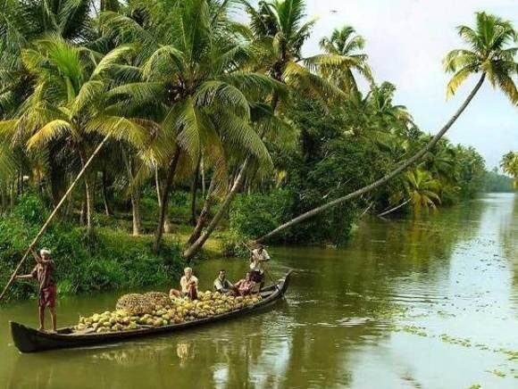 Cochin : Alleppey/Alappuzha Backwater Canoe (Shikara) Cruise - What to Expect During the Tour