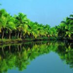Cochin Shore Excursion: Backwater Houseboat Tour and Chinese Nets - The Itinerary in Detail: What to Expect