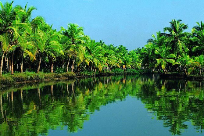 Cochin Shore Excursion: Backwater Houseboat Tour and Chinese Nets - The Itinerary in Detail: What to Expect