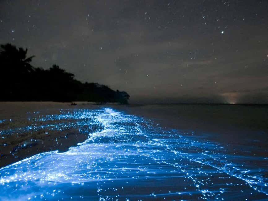 Cocoa Beach: Clear Kayak Bioluminescence Tour - Who Is This Tour Perfect For?
