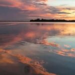 Cocoa Beach: Dolphin & Manatee Pontoon Cruise - Why This Tour Is a Great Choice