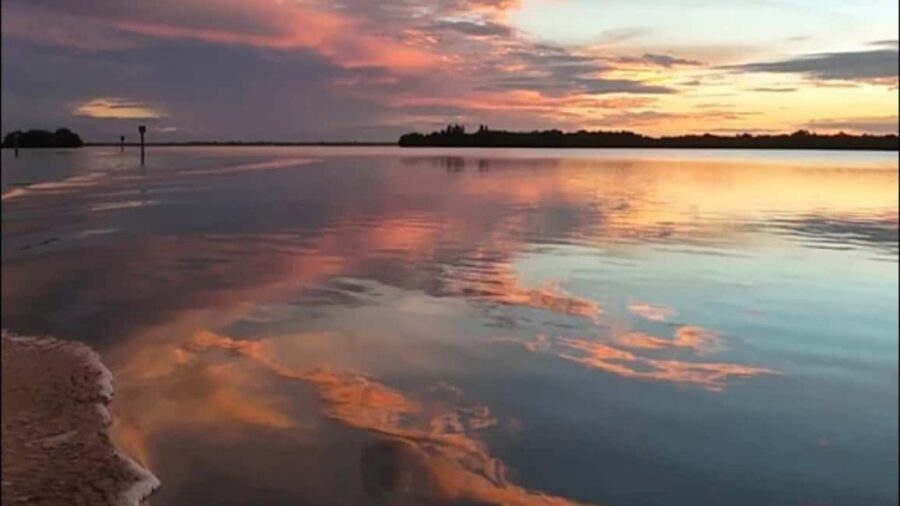 Cocoa Beach: Dolphin & Manatee Pontoon Cruise - Why This Tour Is a Great Choice
