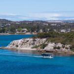 Coffin Bay: Short and Sweet Oyster Farm Tour - Analyzing the Value