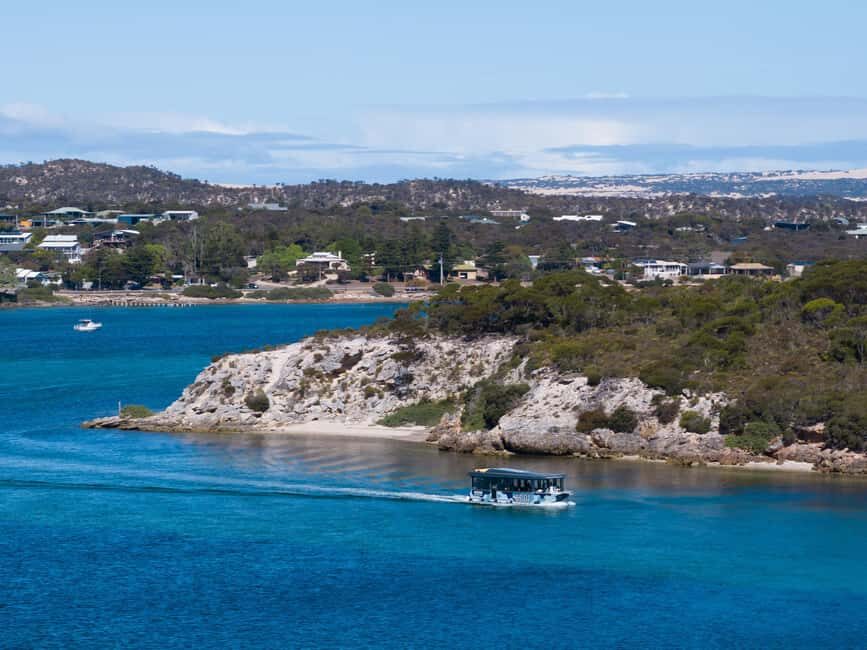 Coffin Bay: Short and Sweet Oyster Farm Tour - Analyzing the Value