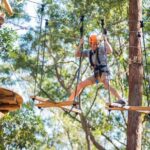 Coffs Harbour: Treetops Adventure Tree Ropes Course - Authentic Experiences and Insights from Travelers
