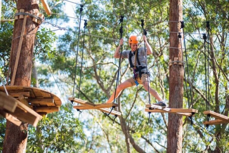 Coffs Harbour: Treetops Adventure Tree Ropes Course - Authentic Experiences and Insights from Travelers