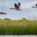 Cold Spring Harbor: Guided Kayak Tour with Instruction - Why This Tour Is a Great Choice