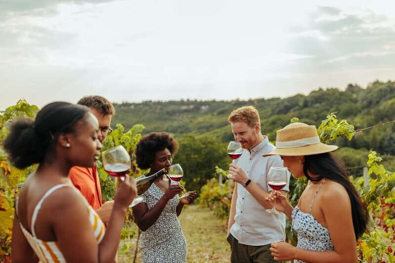 Collingwood: Blue Mountains Wine and Cider Tasting Tour - What Makes This Tour Special for Travelers