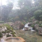 Colmar Tropicale Day Tour - Exploring the Itinerary in Depth
