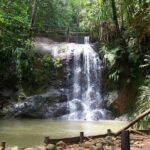 Colo-i-Suva Waterfall Tour (Suva) - Who Should Consider This Tour?
