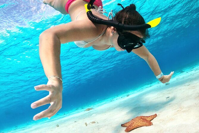 Colombia, Palancar & Cielo Cozumel Snorkel Tour - Authentic Experiences from Travelers