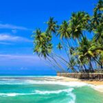 Colombo Airport To Hikkaduwa (Private arrival transfer) - The Sum Up: Who Should Consider This Transfer?