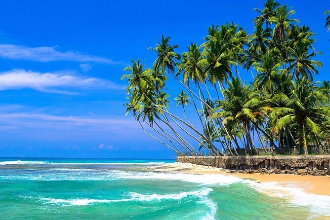 Colombo Airport To Hikkaduwa (Private arrival transfer) - The Sum Up: Who Should Consider This Transfer?