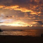 Colombo International Airport to Anywhere in Hikkaduwa Transport only - Who Is This Transfer Best For?