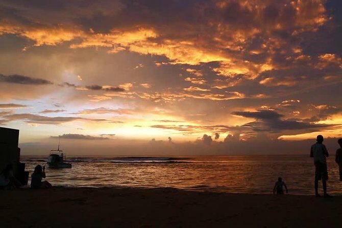 Colombo International Airport to Anywhere in Hikkaduwa Transport only - Who Is This Transfer Best For?