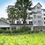 Colombo: Kandy Day Trip with Pinnawala Elephant Orphanage - What You Can Expect