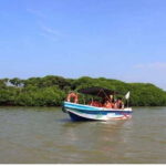 Colombo/Negombo: Muthurajawela & Dutch Canal Boat Adventure - Who Will Love This Experience?