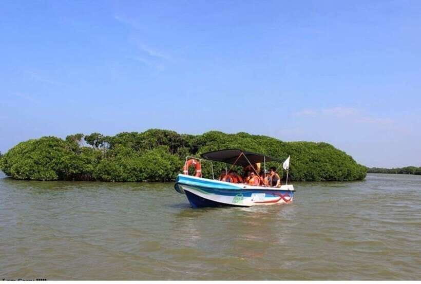 Colombo/Negombo: Muthurajawela & Dutch Canal Boat Adventure - Who Will Love This Experience?