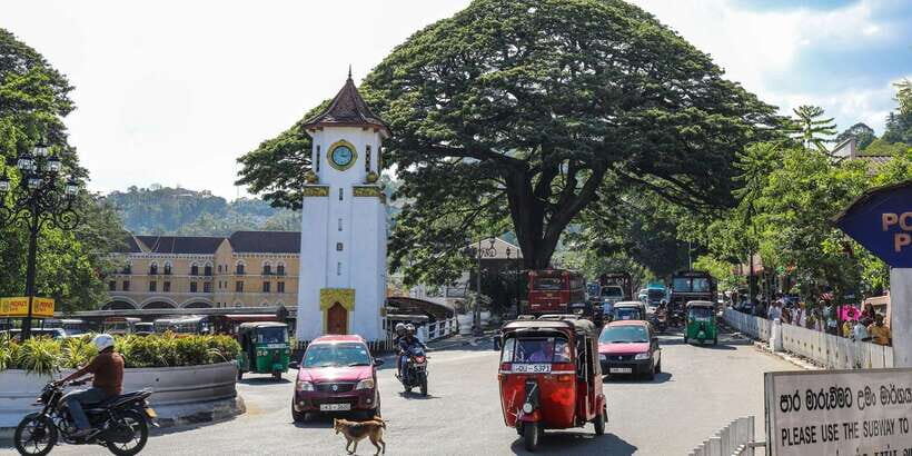 Colombo: Pinnawala Orphanage, Kandy Temple of Tooth day trip - The Itinerary in Detail