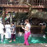 Colombo: Private Tuk Tuk City Tour (Morning and Evening) - The Itinerary Breakdown — What to Expect
