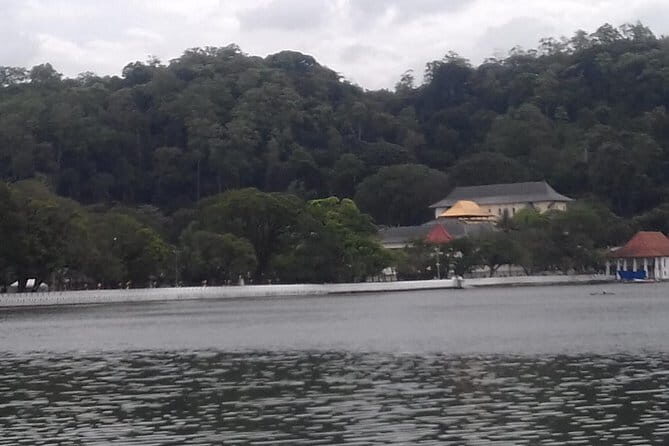 Colombo to Kandy Private Day Tour - Transportation and Pricing