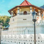 Colombo to Kandy Temple of Tooth Day Trip (Kandy City Tour) - What Reviewers Say