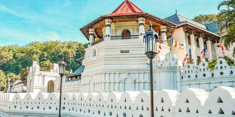 Colombo to Kandy Temple of Tooth Day Trip (Kandy City Tour) - What Reviewers Say