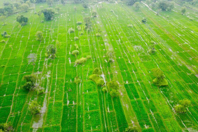 Colombo to Sigiriya Private Car, Van Transfer - Final Thoughts