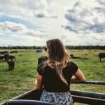 Colombo to Trincomalee Shuttle & Safari Drive - What Travelers Say