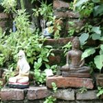 Colors Of Bangkok: 4-Hour Small Group Bike Tour - Exploring Bangkrachao’s Natural Beauty