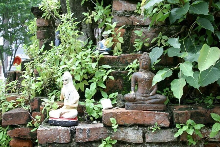 Colors Of Bangkok: 4-Hour Small Group Bike Tour - Exploring Bangkrachao’s Natural Beauty