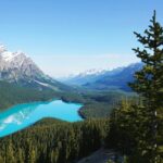 Columbia Icefield Bow Lake Peyto Lake Day Tour - The Practical Side: What Travelers Need to Know