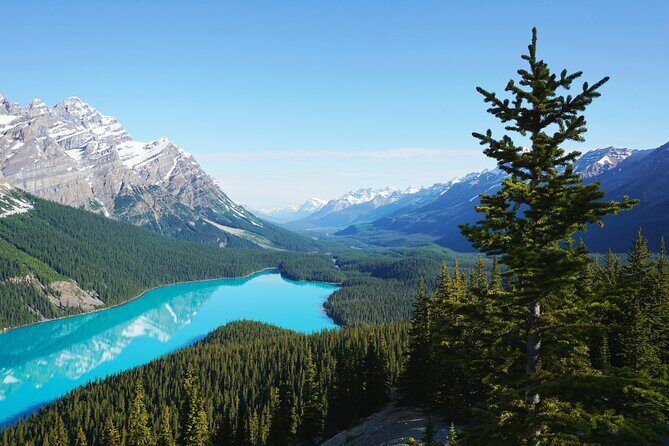 Columbia Icefield Bow Lake Peyto Lake Day Tour - The Practical Side: What Travelers Need to Know