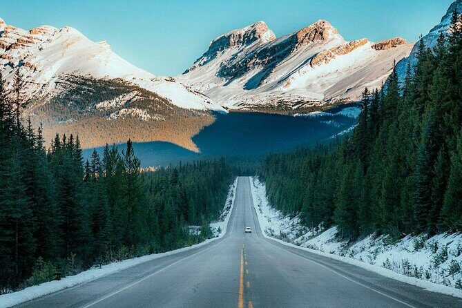 Columbia Icefield Day Tour Ice Explorer and Scenic Views by Coach - What Travelers Are Saying