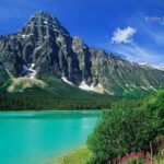 Columbia icefield, Skywalk, Waterfowl, Bow & Peyto Lake Tour - What the Reviews Say