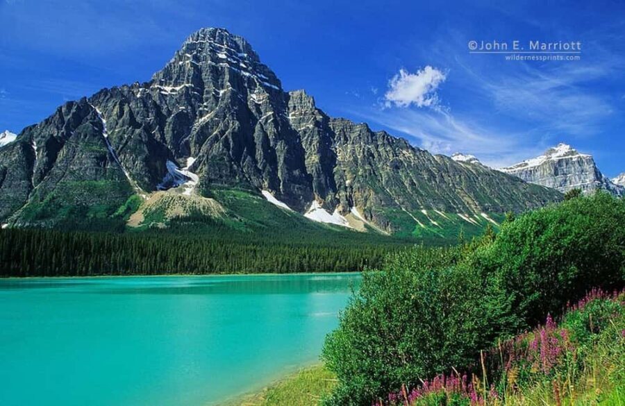 Columbia icefield, Skywalk, Waterfowl, Bow & Peyto Lake Tour - What the Reviews Say