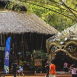 Combine World C Zipline Adventure at Hanuman World - Who Should Consider This Tour?