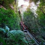 Combo: Blue Mountain Tour + Sydney Hop-on-Hop-off Bus Ticket - Scenic World: A Thrilling Ride into the Wilderness